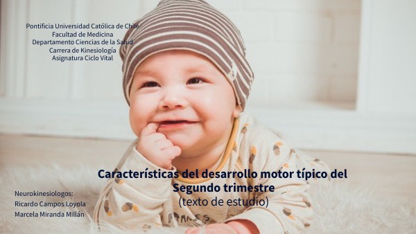 Características del desarrollo motor típico del segundo trimestre | Genially