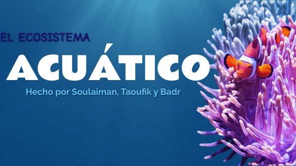 PRESENTACIÓN MARINA