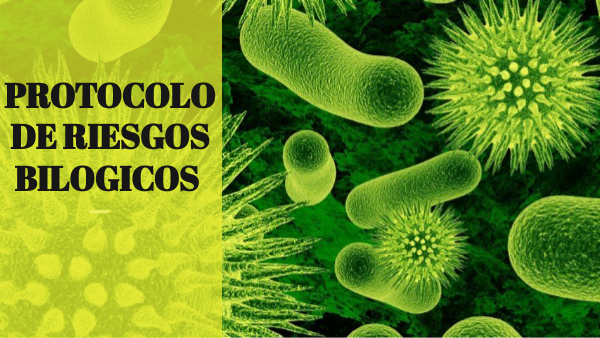 PRESENTACIÓN GENIAL VIBRANT