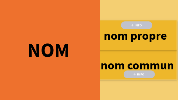 le nom grammaire