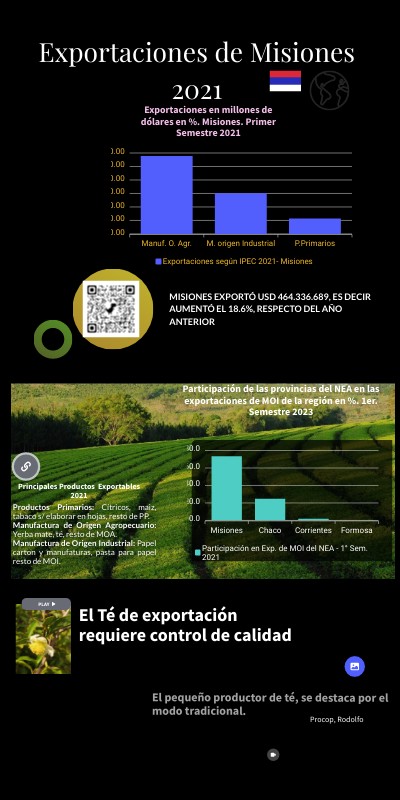 Exportación- Misiones | Genially