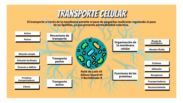 Transporte celular | Genially
