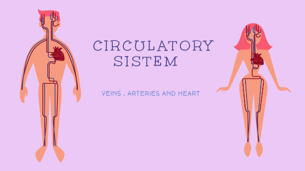 THE CIRCULATORY SYSTEM | Genially