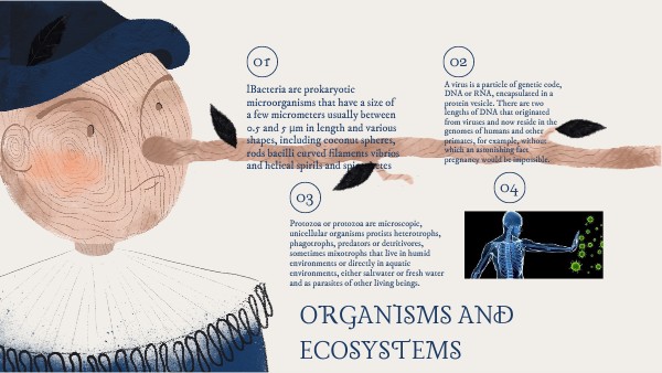 SUMMATIVE ASSESSMENT Science | Genially