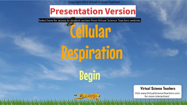 Teacher Presentation: Cellular Respiration