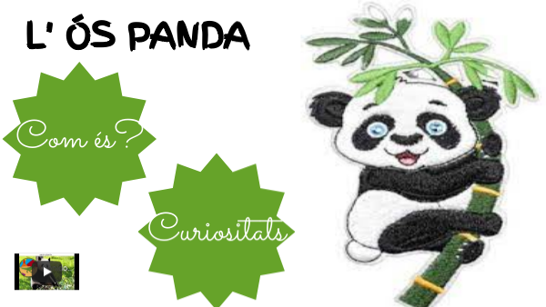 L' ÓS PANDA