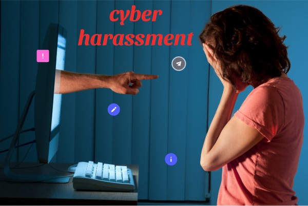 Cyber harassment ( Billiani)