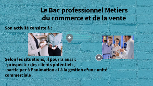 présentation Bac PRO MCV
