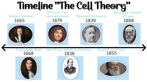 Timeline "The Cell Theory" | Genially