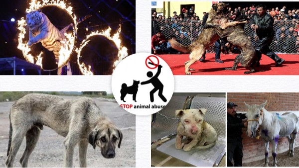 CIRCULAR BRUSH PRESENTATION | Genially