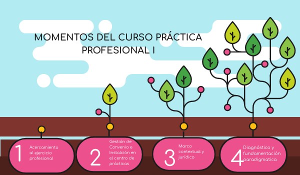 Momentos del curso práctica I
