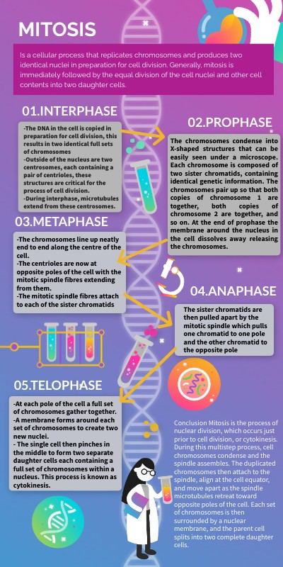 BIOLOGY VIBRANT TIMELINE | Genially