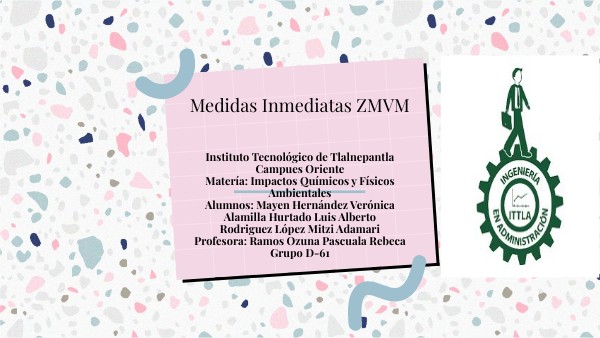 Medidas Inmediatas ZMVM