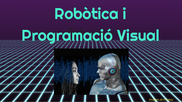Robòtica i Programació Visual