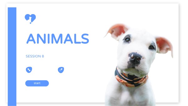 Session 8 - Animals