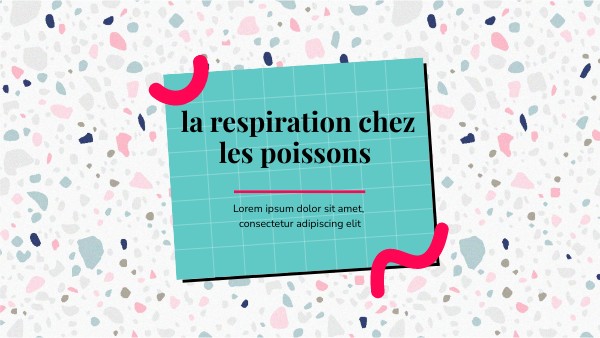 La respiration chez les poissons | Genially