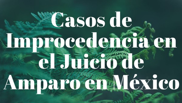 Tipos de improcedencia