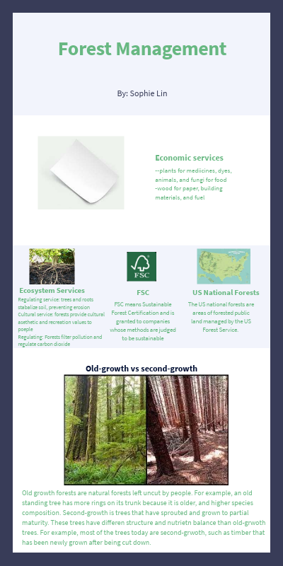 Forest Management Poster | Genially