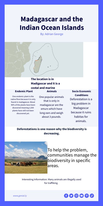 BASIC INFOGRAPHIC | Genially