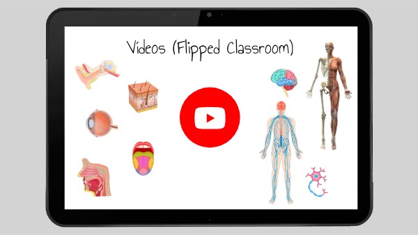 VIDEOS FLIPPED CLASSROOM