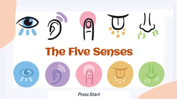 Five Senses
