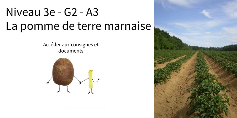 A3 - G2 - 3e | Genially