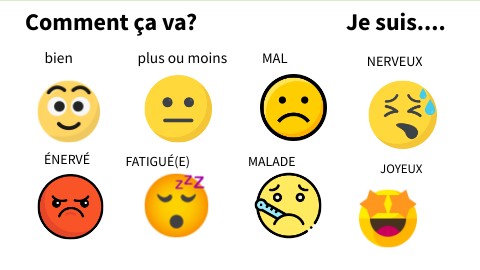 Emiotional Check in-french
