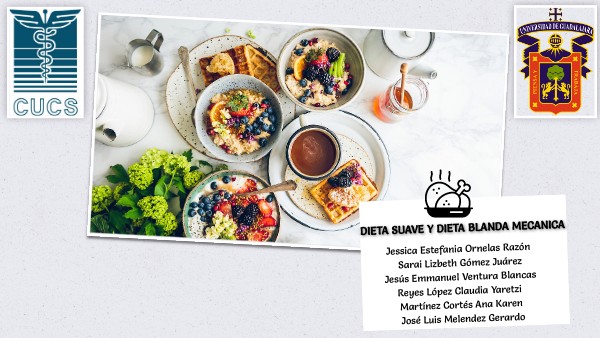 DIETA SUAVE Y DIETA BLANDA MECANICA