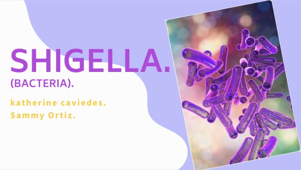SHIGELLA. | Genially