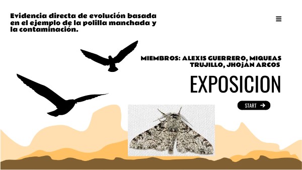 Expocicion