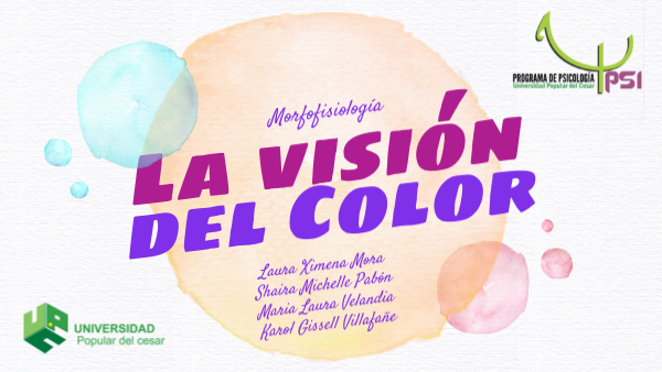 La Visión del Color