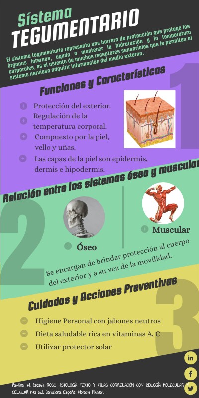 SISTEMA TEGUMENTARIO