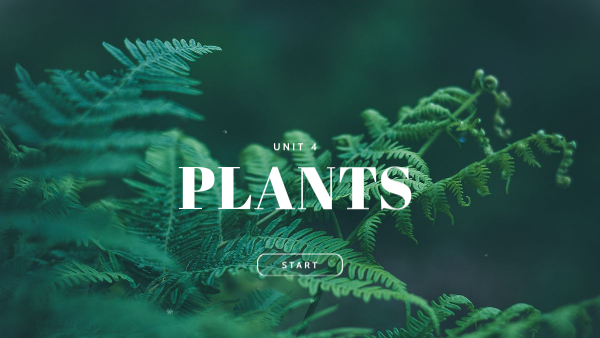 PLANTS | Genially