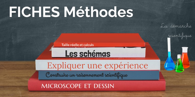 fiche méthode SVT collège | Genially