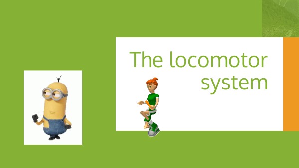 THE LOCOMOTOR SYSTEM | Genially