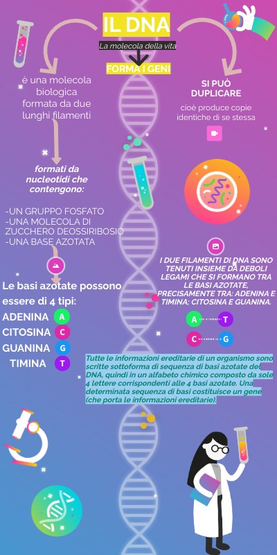 IL DNA | Genially