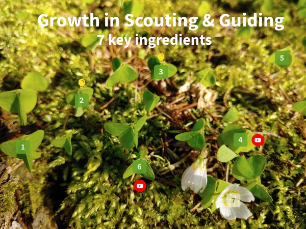 Growth in Scouting and Guiding