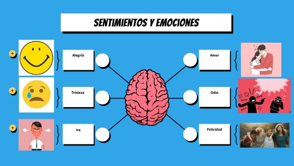 Sentimiento Y Emociones