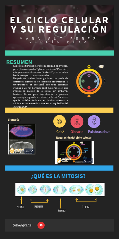 Citología definitivo | Genially