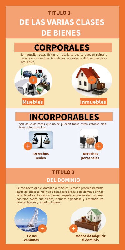 INFOGRAFÍA BIENES | Genially