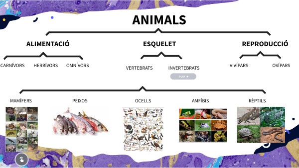 Esquema animals