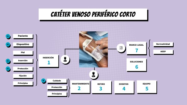 Catéter Venoso Periférico corto | Genially