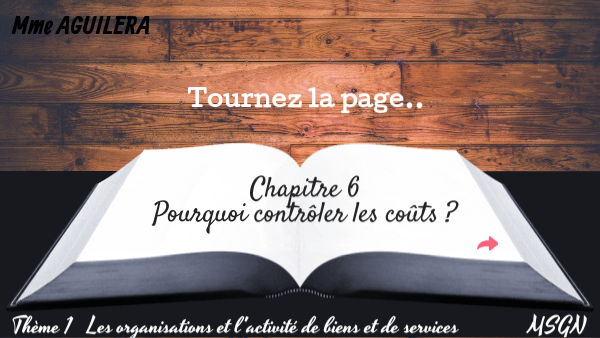 C6 MSGN découverte de chapitre | Genially