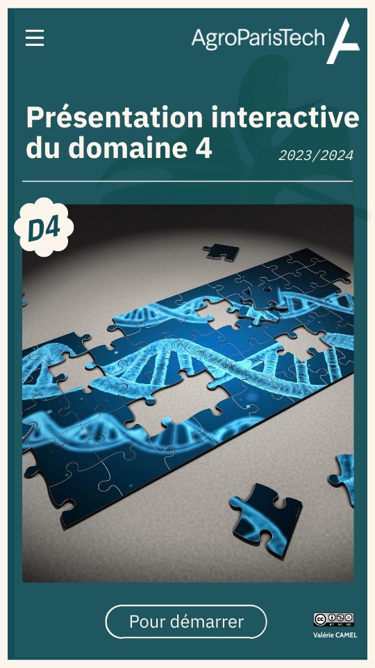 Brochure D4 2023-2024