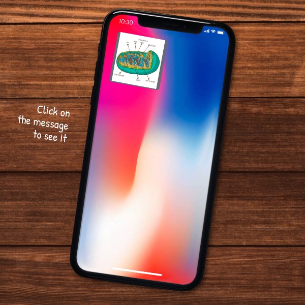 krishna - Cell app project