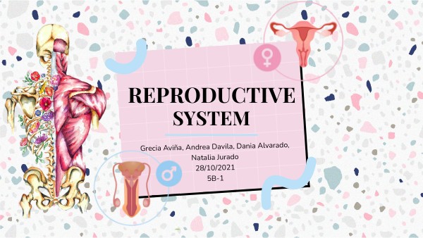 Reproductive system | Genially
