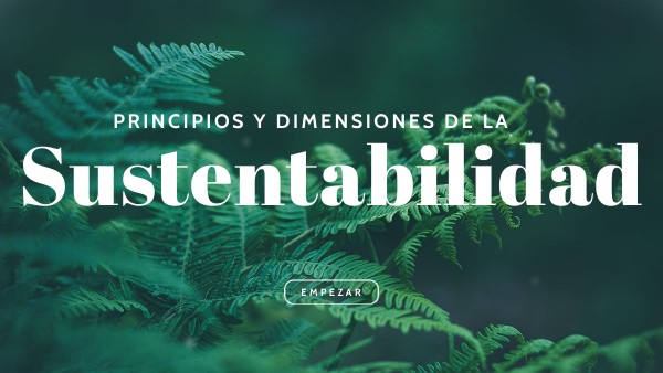 Principios y dimensiones sustentabilidad | Genially