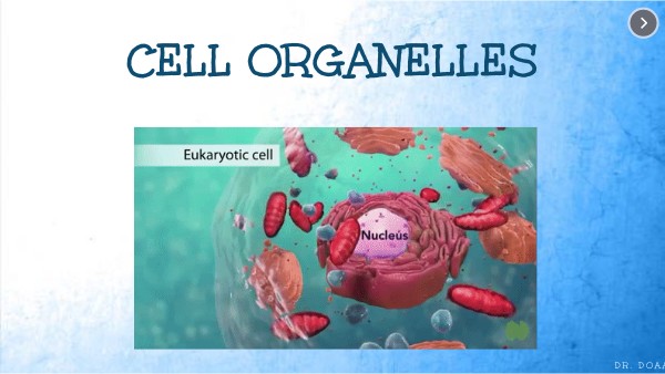 Cell organelles