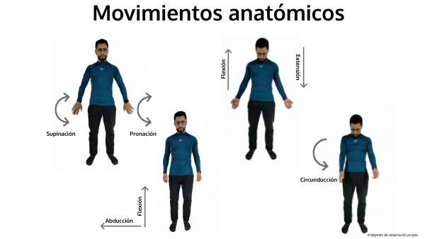 Morfofisiología_Movimientos anatómicos | Genially