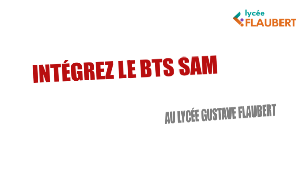 Pourquoi et comment intégrer le BTS SAM au lycée Gustave Flaubert ? | Genially